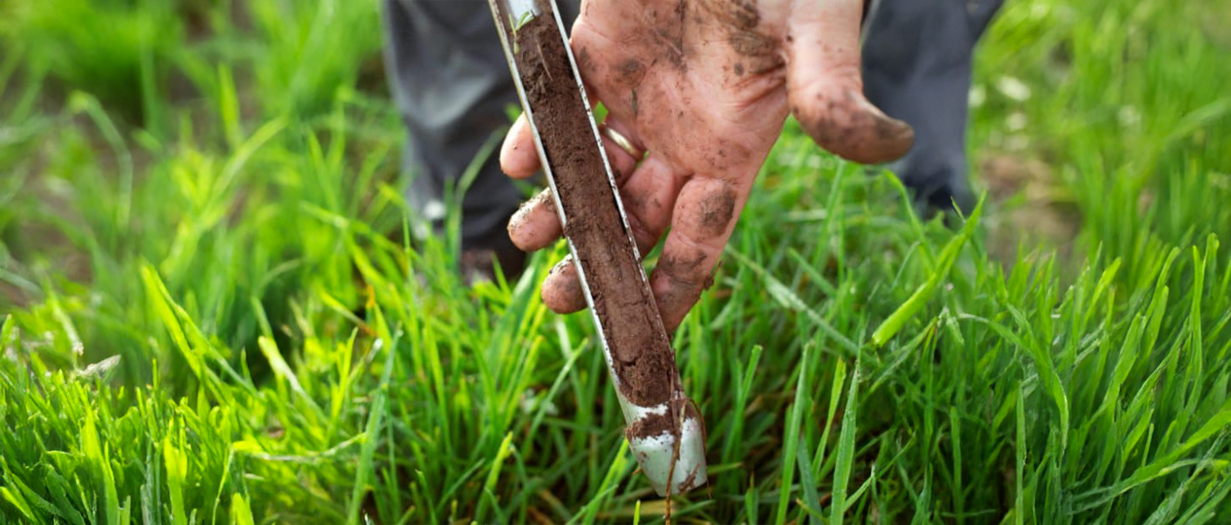 Digging Deeper: How Soil Analysis Can Help Your Farm - AgriAdvance